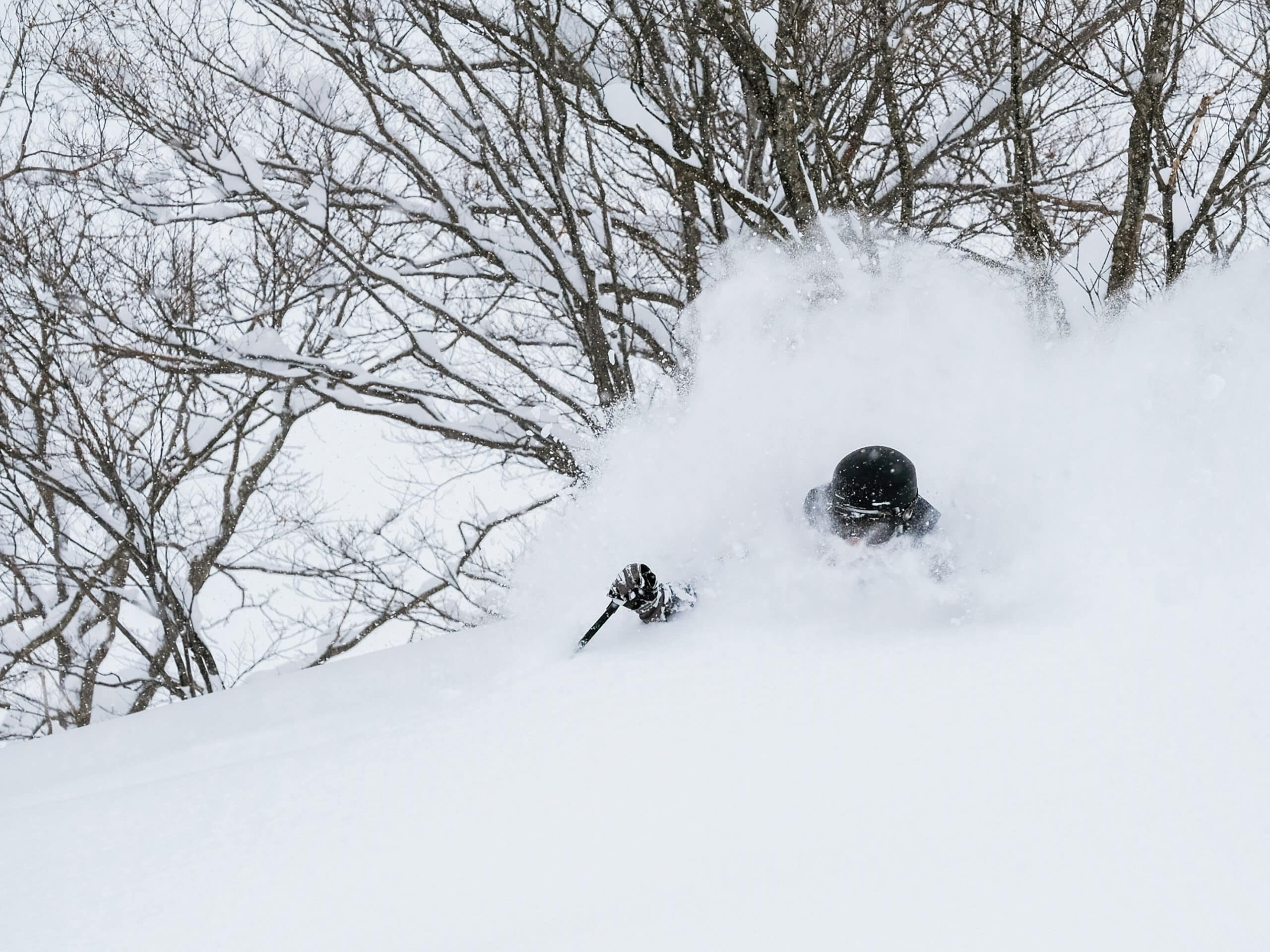 Bryce's Vision for evo Hotel Hakuba and Rhythm Japan - Live Up Hakuba